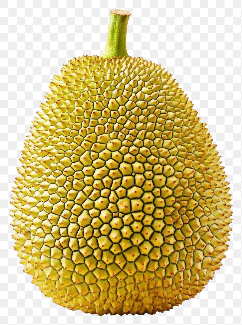 Jackfruit Durian Fruit Images | Free Photos, PNG Stickers, Wallpapers ...