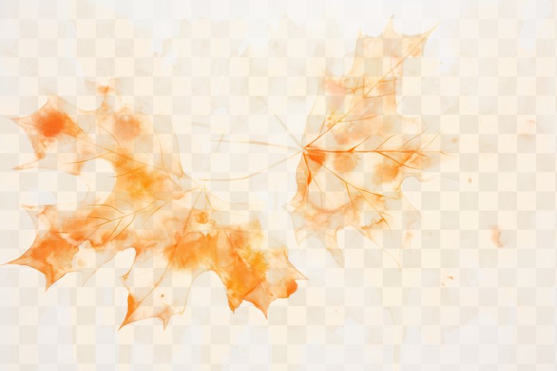 Autumn leaves watercolor png overlay | Free PNG - rawpixel