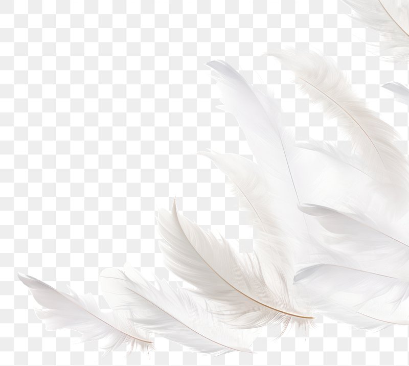 Angel Border Images | Free Photos, PNG Stickers, Wallpapers ...
