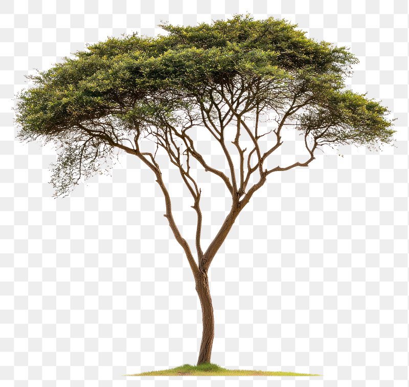 Lonely PNG Images | Free Photos, PNG Stickers, Wallpapers & Backgrounds ...