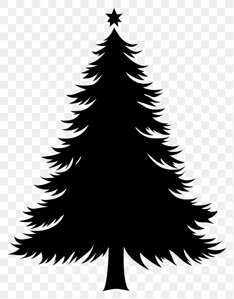 Black And White Pine Tree Images | Free Photos, PNG Stickers ...