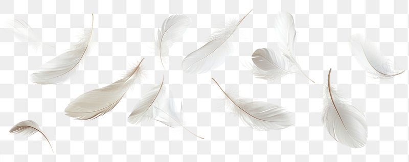 PNG Real white feathers border | Free PNG - rawpixel