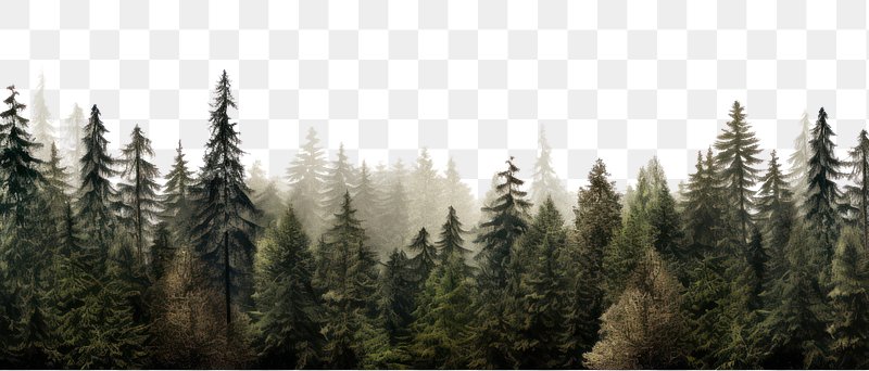 Green Mist PNG Images | Free Photos, PNG Stickers, Wallpapers ...