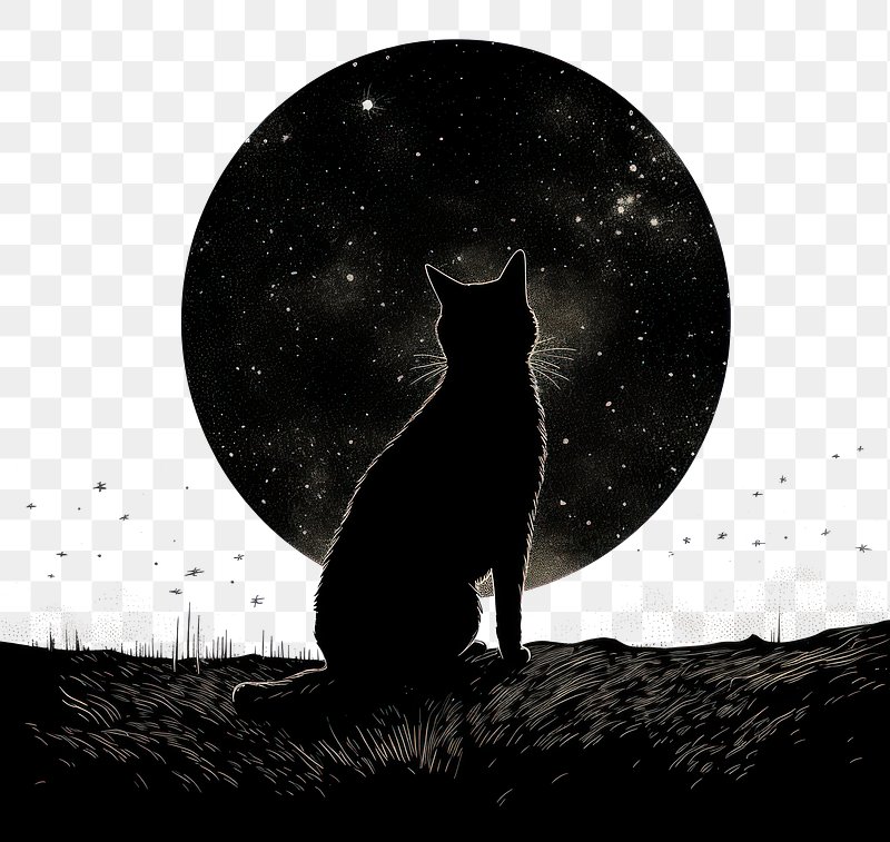 Moonlight Background Images | Free Photos, PNG Stickers, Wallpapers ...