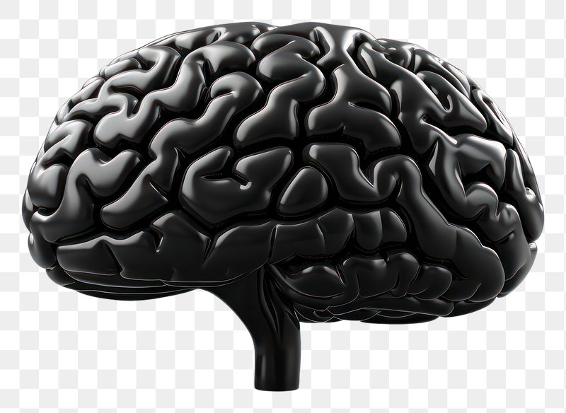 3d Brain PNG Images | Free Photos, PNG Stickers, Wallpapers ...