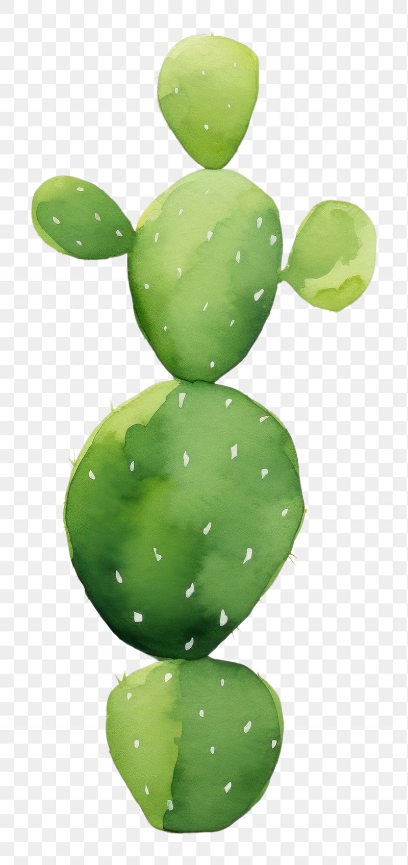 Broad Leaves Images | Free Photos, PNG Stickers, Wallpapers ...