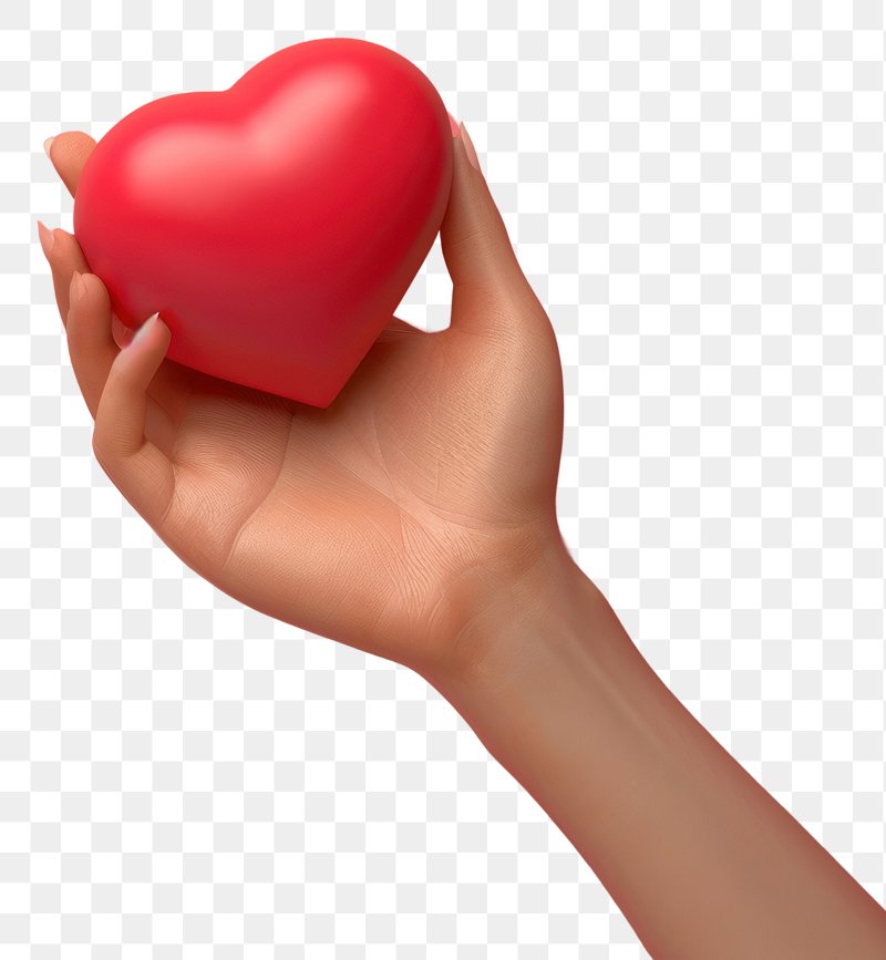 PNG Hand model holding heart | Free PNG - rawpixel