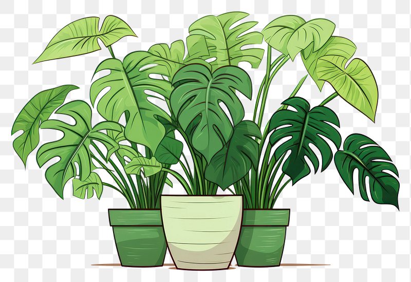 PNG Indoor plant cartoon green | Premium PNG - rawpixel