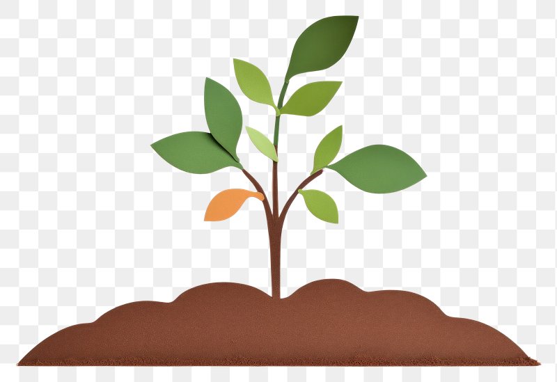 Young Sprout Images | Free Photos, PNG Stickers, Wallpapers ...
