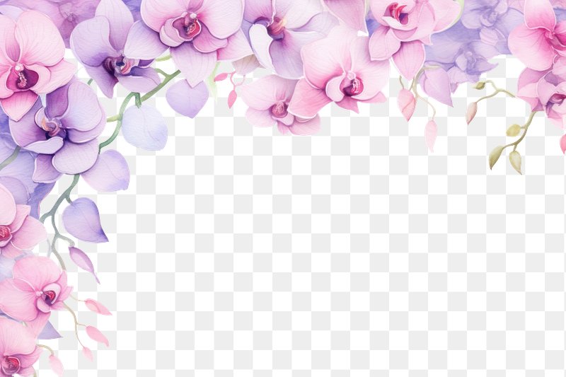 PNG Pastel orchid border frame | Premium PNG - rawpixel