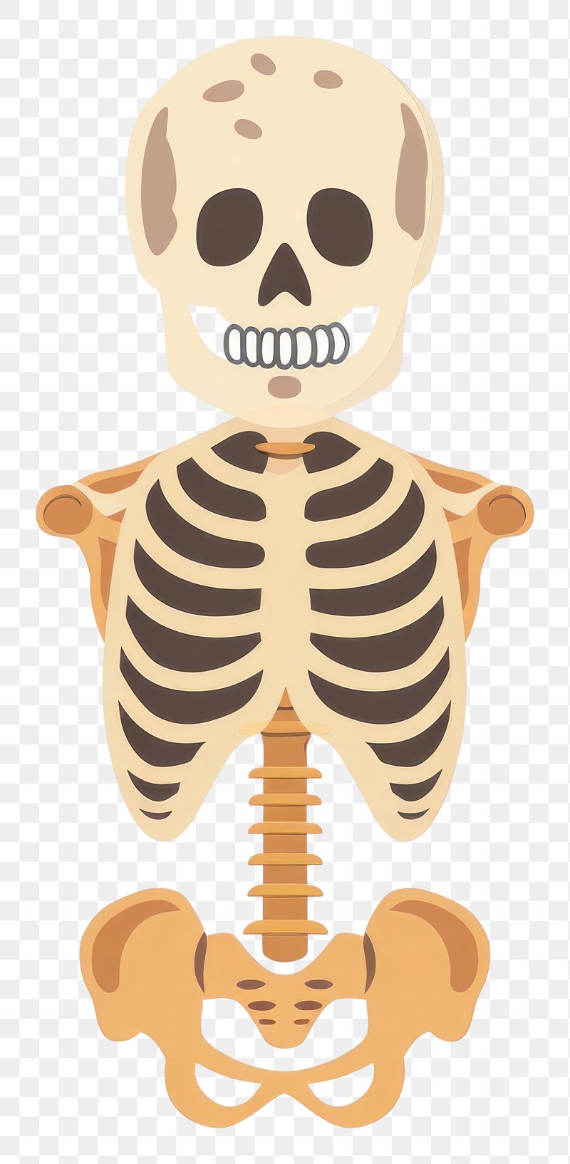 Skeleton PNG Images | Free Photos, PNG Stickers, Wallpapers ...