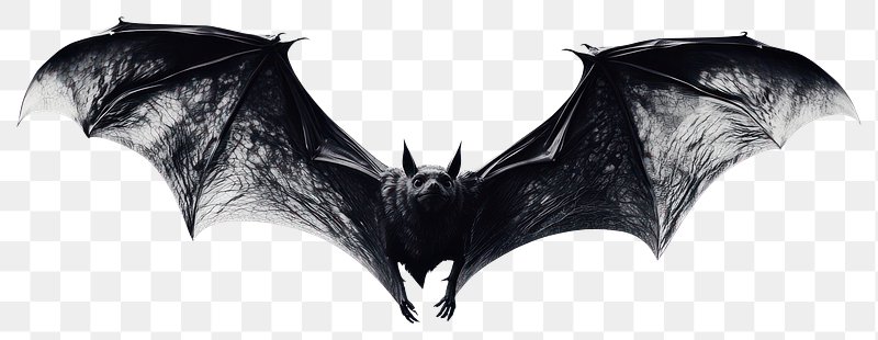 Bat Wing Images | Free Photos, PNG Stickers, Wallpapers & Backgrounds ...