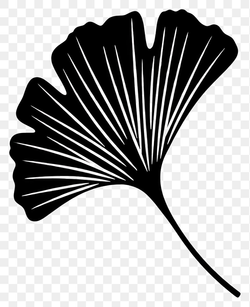 Ginkgo Design Images | Free Photos, PNG Stickers, Wallpapers ...