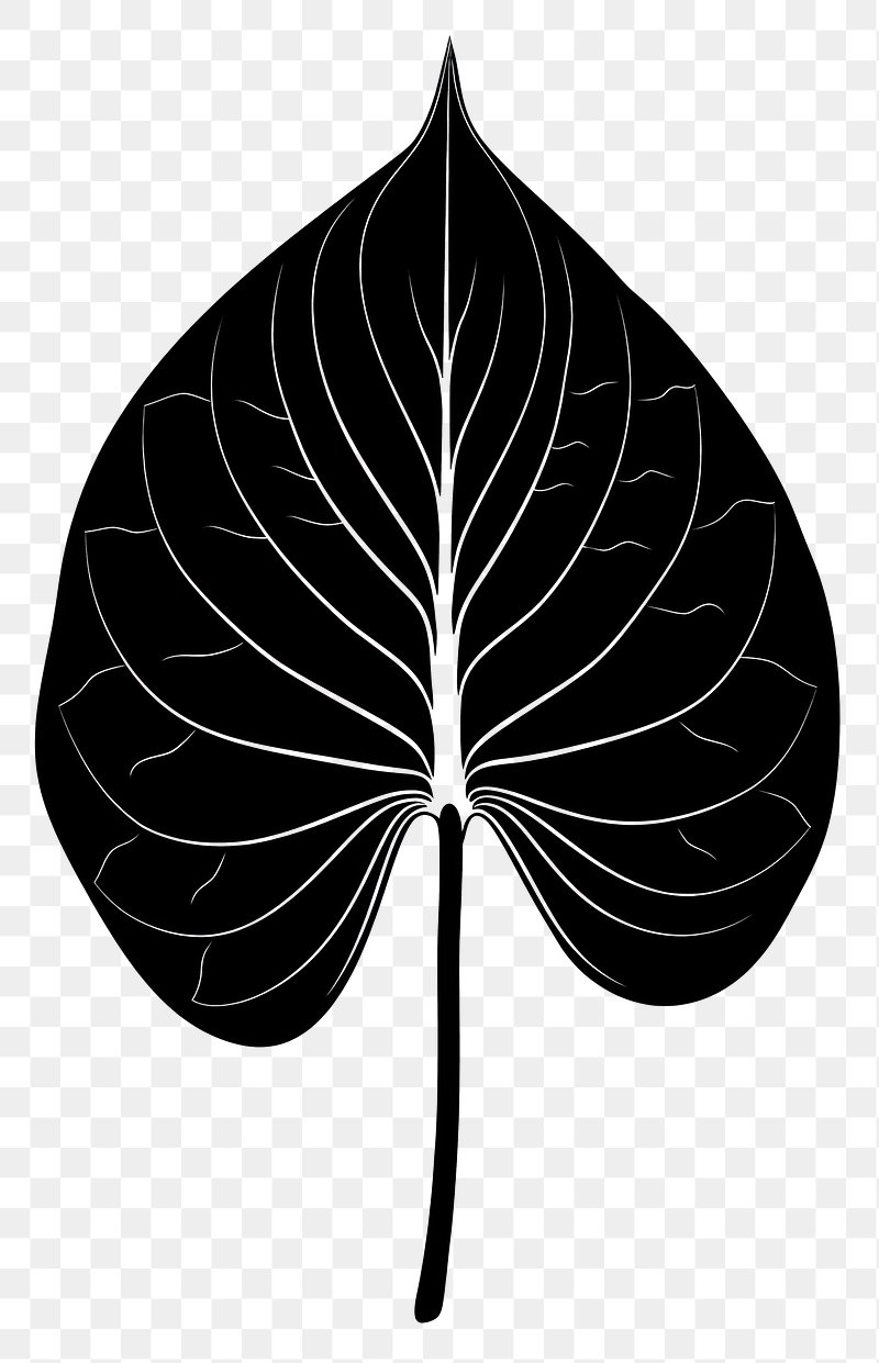 PNG Hosta Leaf leaf illustration | Free PNG - rawpixel