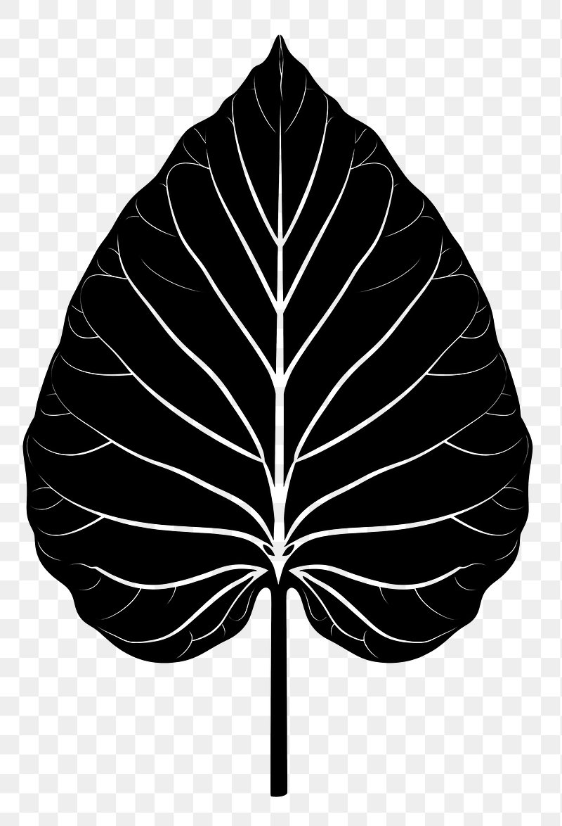 Hosta Images | Free Photos, PNG Stickers, Wallpapers & Backgrounds ...