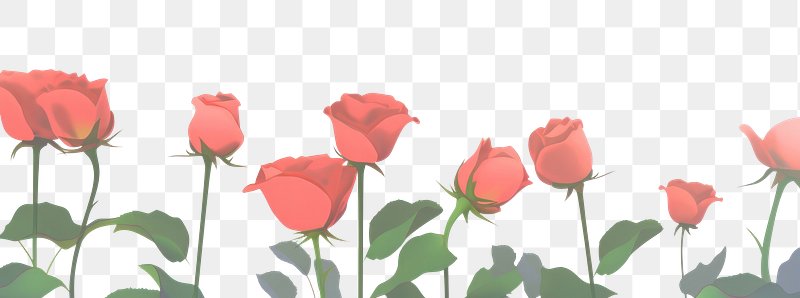 Red Rose Border PNG Images | Free Photos, PNG Stickers, Wallpapers ...