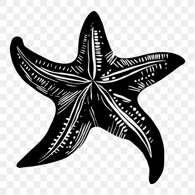 PNG Mermaidcore starfish illustration black | Free PNG - rawpixel