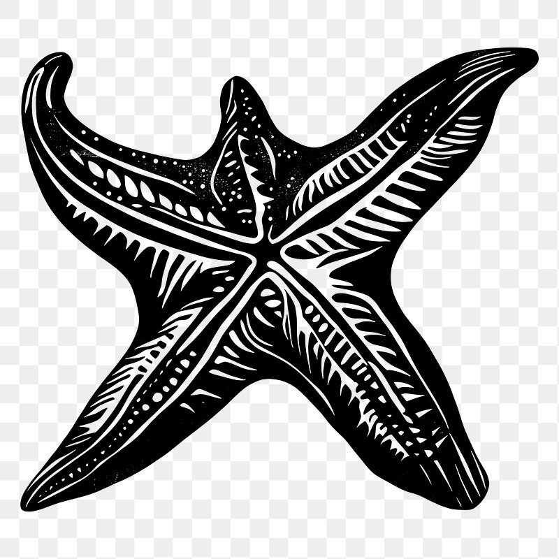 PNG Mermaidcore starfish illustration black | Free PNG - rawpixel