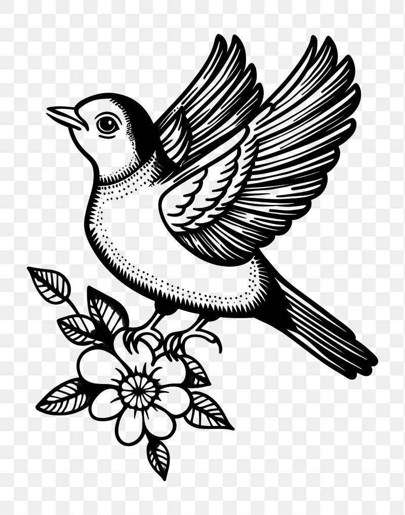 Dove Elements Images | Free Photos, PNG Stickers, Wallpapers ...