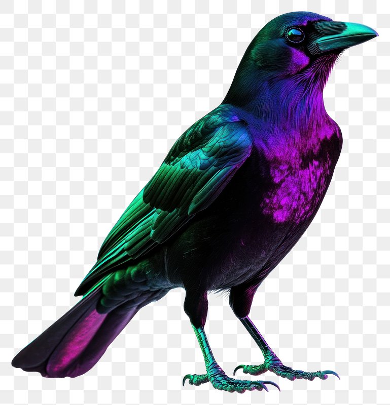 Light Birds Images | Free Photos, PNG Stickers, Wallpapers ...