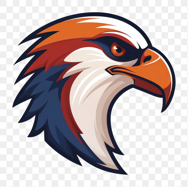Falcon PNG Images | Free Photos, PNG Stickers, Wallpapers & Backgrounds ...