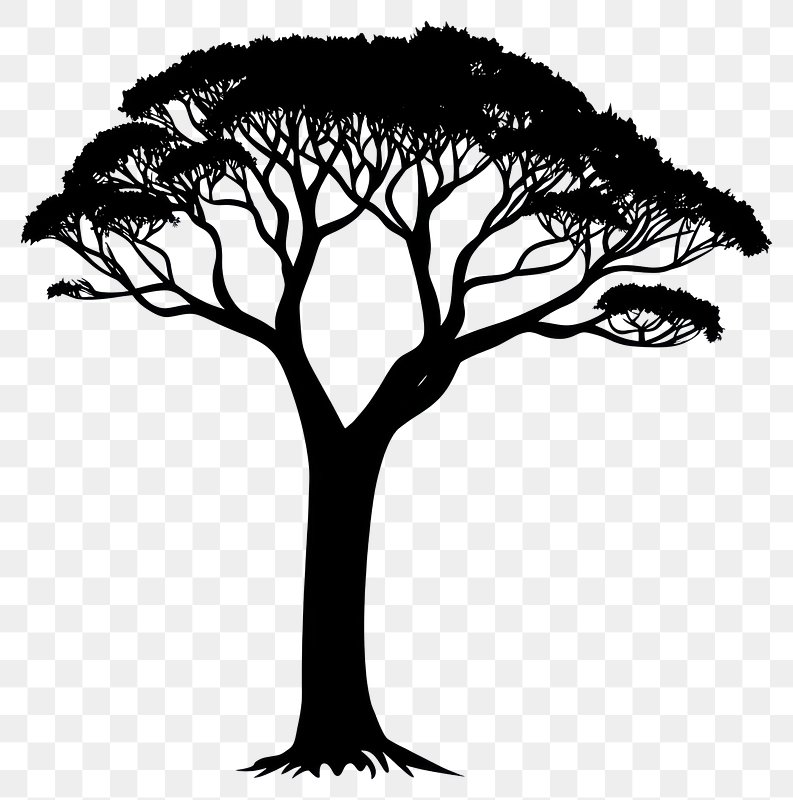 Acacia Tree PNG Images | Free Photos, PNG Stickers, Wallpapers ...