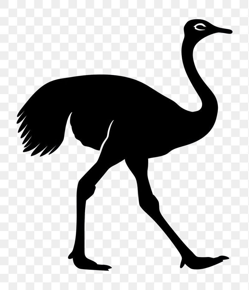 Ostrich++vector Illustration PNG Images | Free Photos, PNG Stickers ...