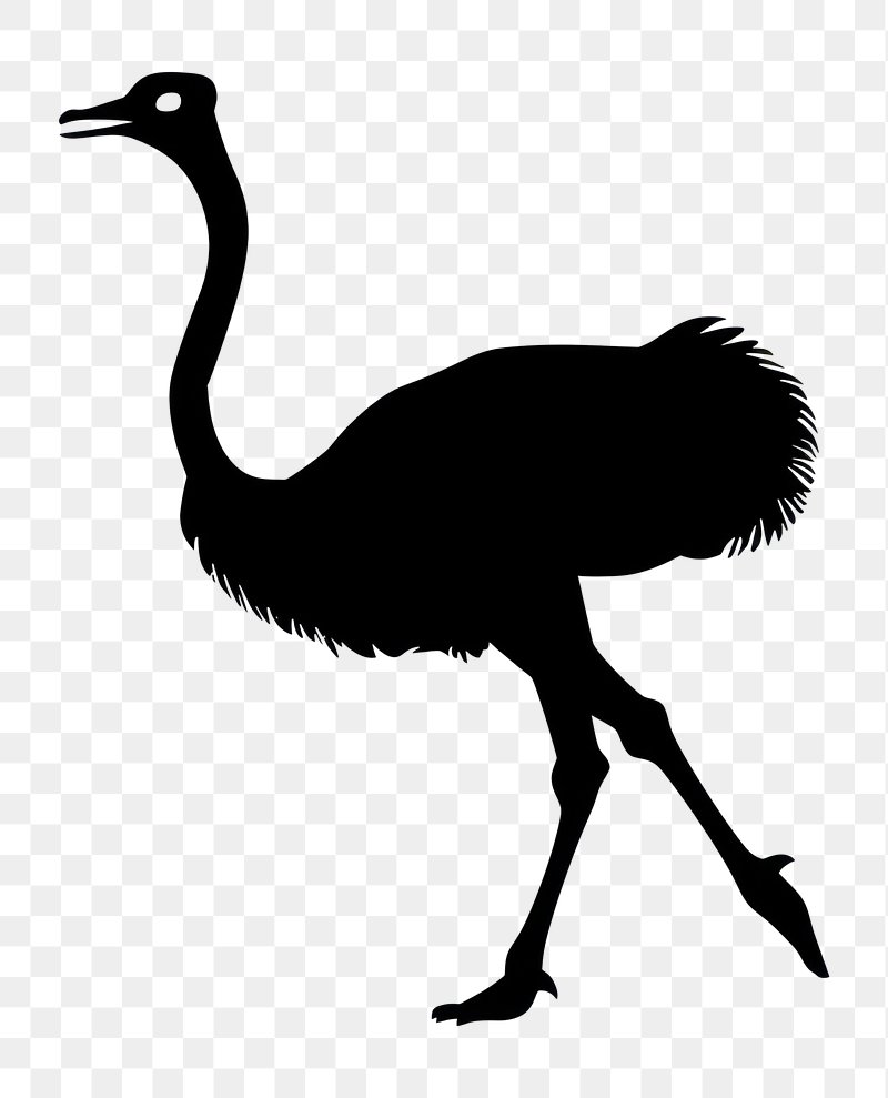 Ostrich++vector Illustration PNG Images | Free Photos, PNG Stickers ...