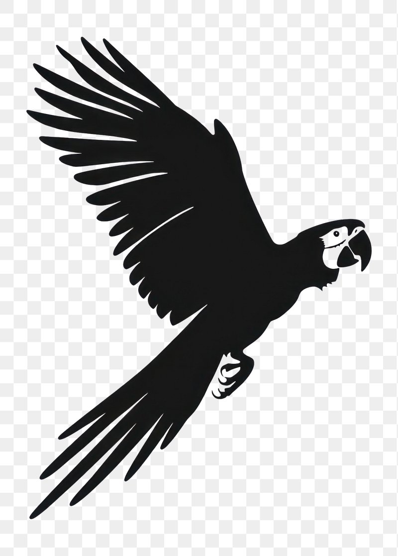 PNG Parrot flying silhouette illustration | Free PNG - rawpixel