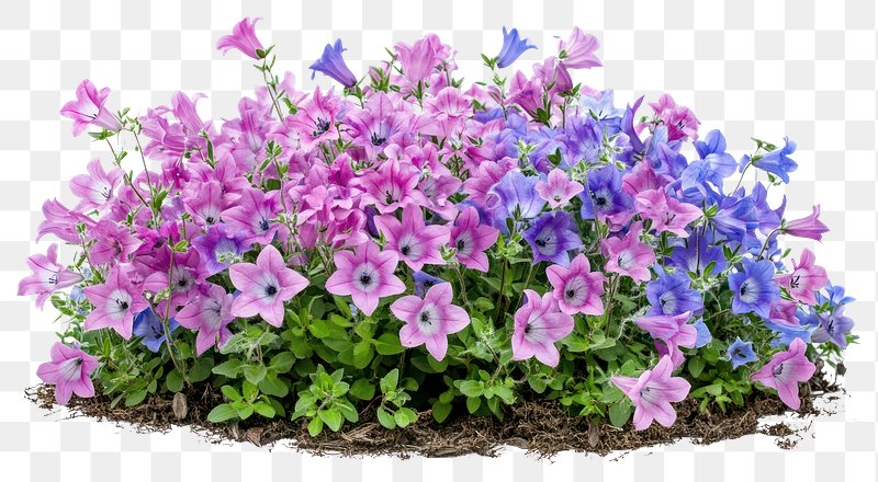 Flower Bushes Transparent PNG Images | Free Photos, PNG Stickers ...