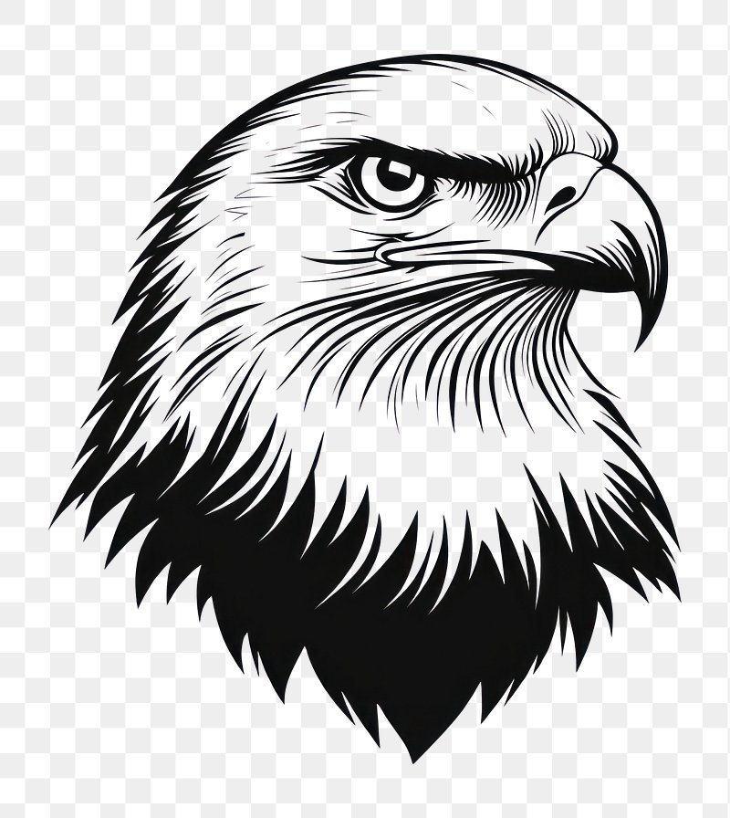 Clipart+of+an+eagle Stickers Images | Free Photos, PNG Stickers ...