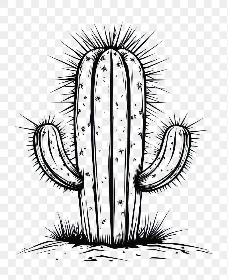 Cactus Graphic PNG Images | Free Photos, PNG Stickers, Wallpapers ...
