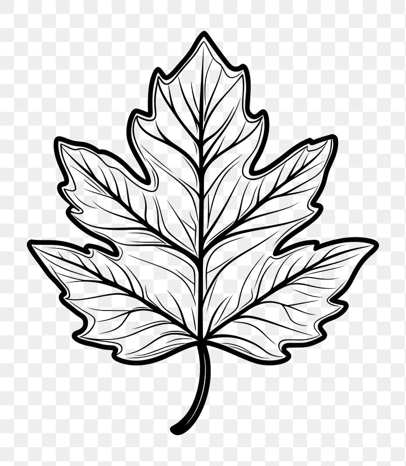 Sticker White Outline Images | Free Photos, PNG Stickers, Wallpapers ...