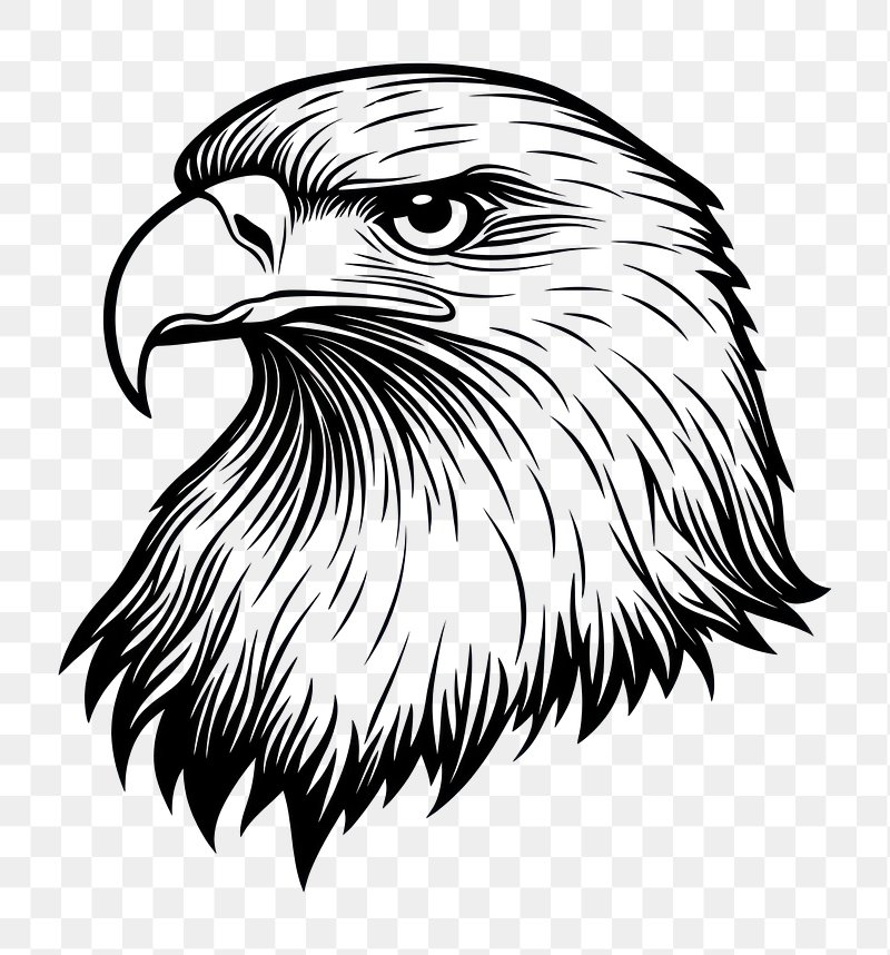 Clipart+of+an+eagle Stickers PNG Images | Free Photos, PNG Stickers ...