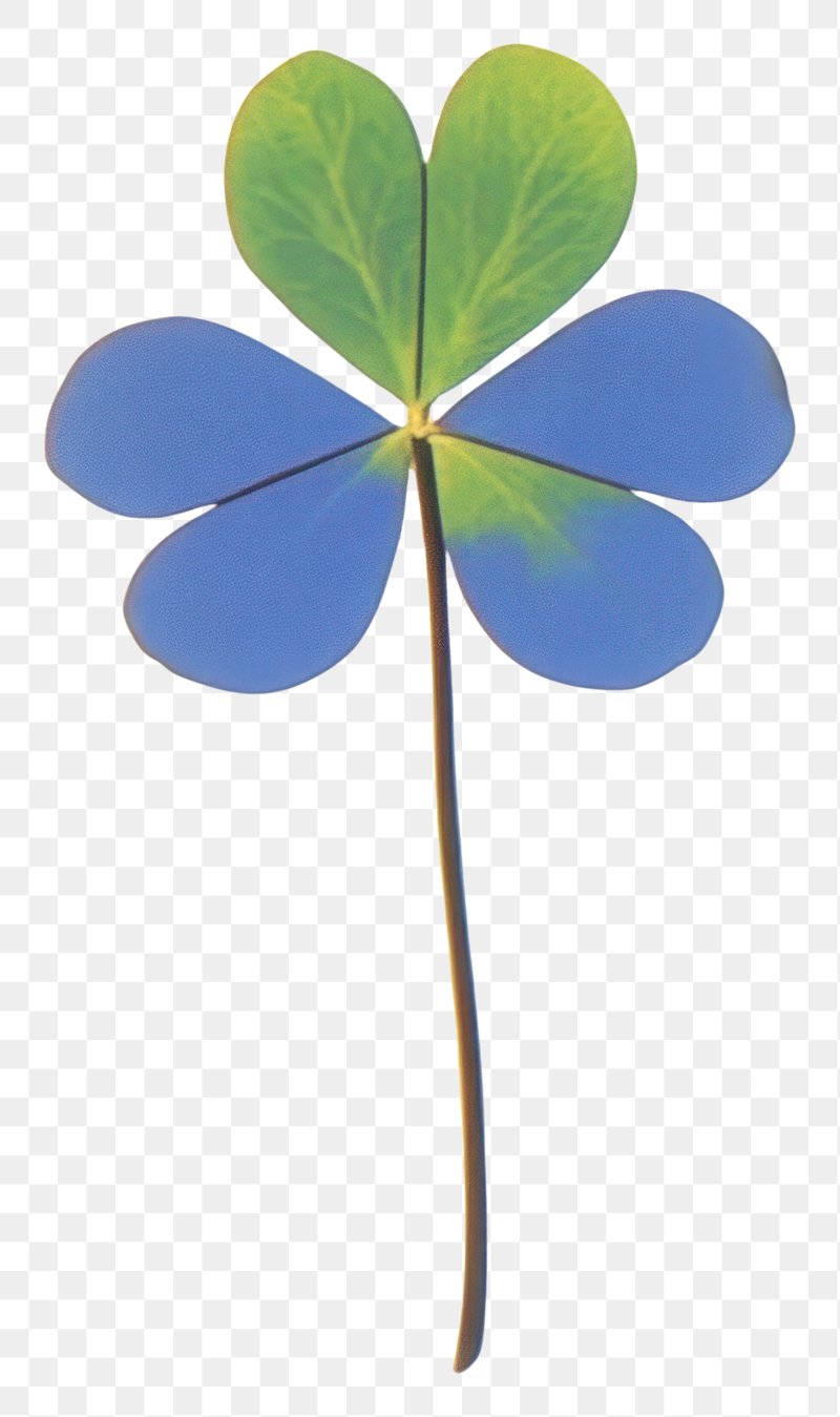 Y2k Transparent Images | Free Photos, PNG Stickers, Wallpapers ...