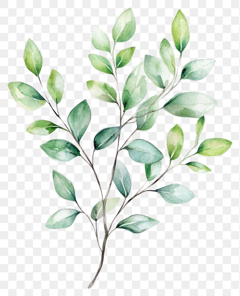 Floral green leave art illustration | Free Photo Illustration - rawpixel