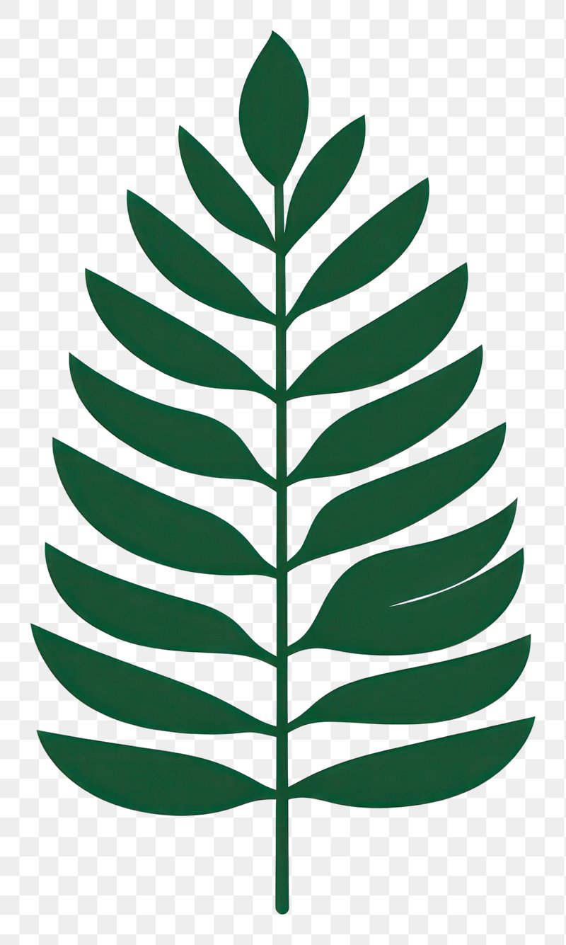 PNG Green long fern leaf | Free PNG - rawpixel