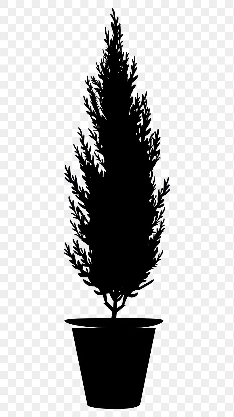 Cypress Tree PNG Images | Free Photos, PNG Stickers, Wallpapers ...