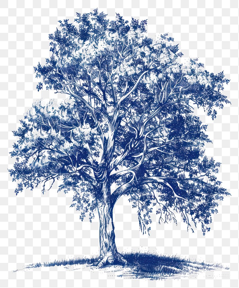 PNG Tree drawing sketch blue. | Free PNG - rawpixel