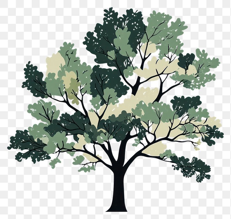 Tree Shadow PNG Images | Free Photos, PNG Stickers, Wallpapers ...