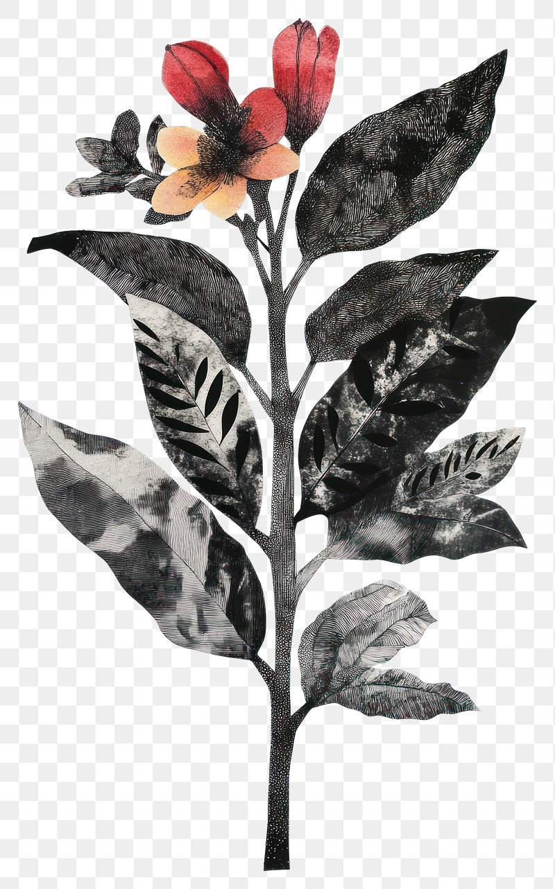 PNG Botanica colorful flowers leaves | Free PNG - rawpixel