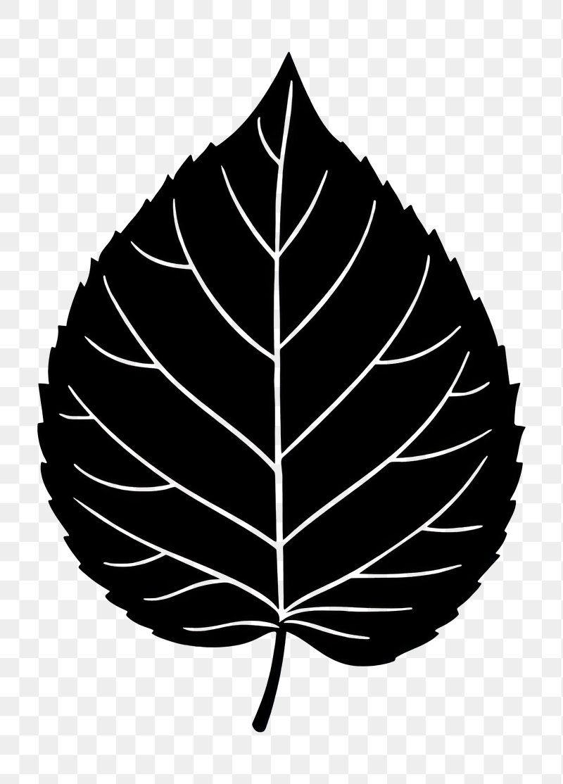 Sticker White Outline Images | Free Photos, PNG Stickers, Wallpapers ...