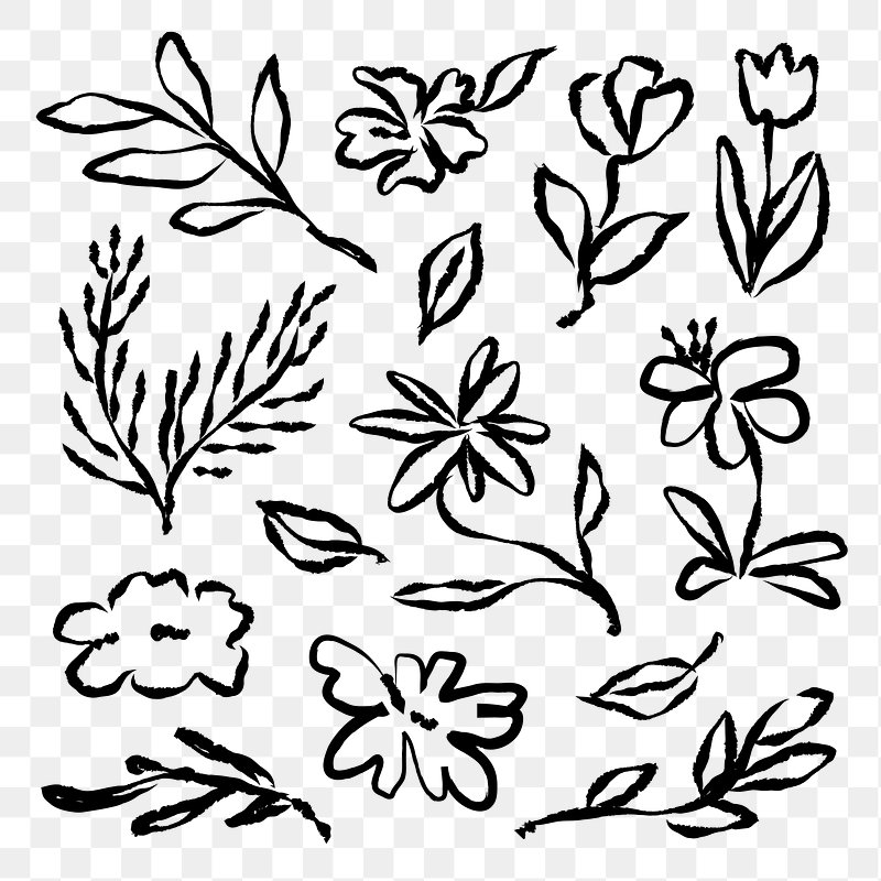 PNG Hand-drawn flower sketch illustration | Free PNG - rawpixel