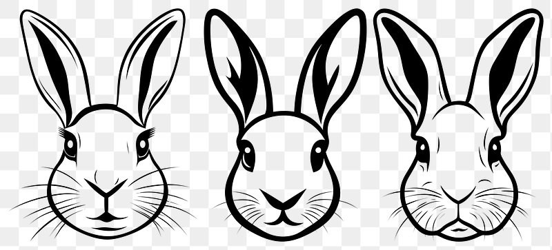 PNG Art illustration stencil animal | Free PNG - rawpixel