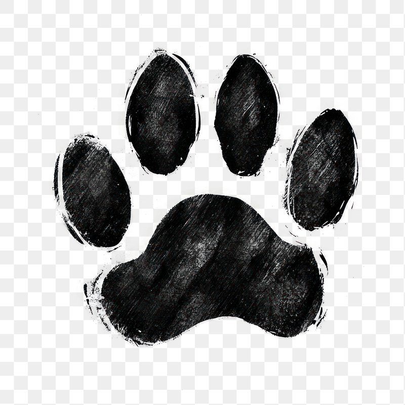 Paw Print Transparent Images | Free Photos, PNG Stickers, Wallpapers ...