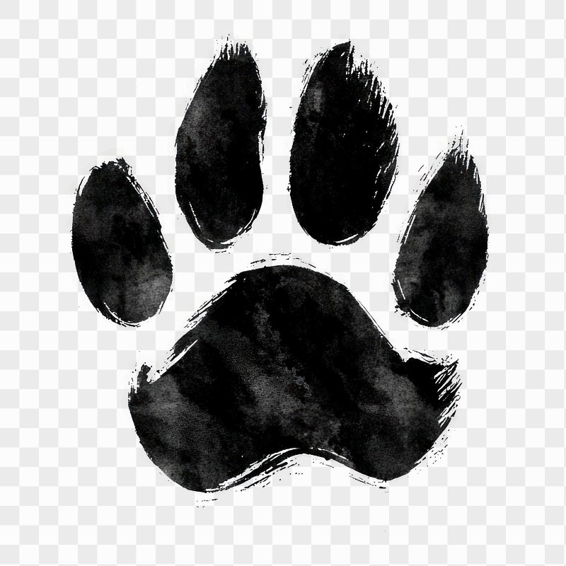 Paw Print Transparent Images | Free Photos, PNG Stickers, Wallpapers ...