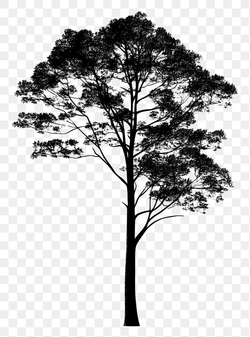 Black Tree Png
