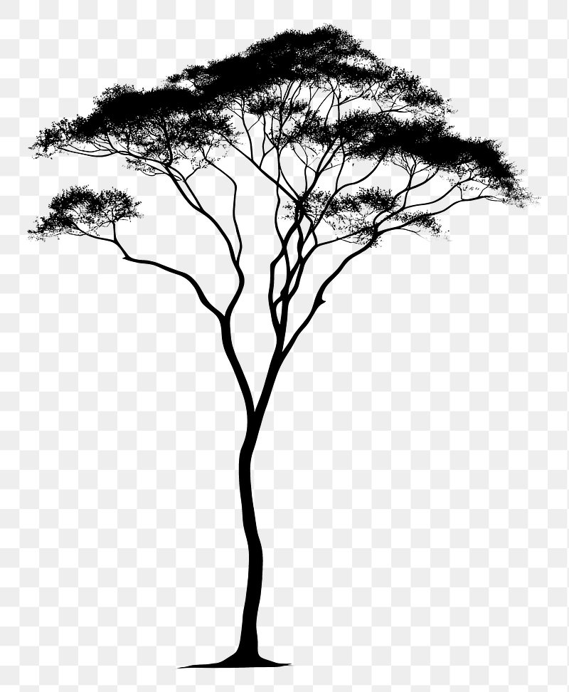 Black Tree Vector Png Black Tree Vector Images (over 210,000)