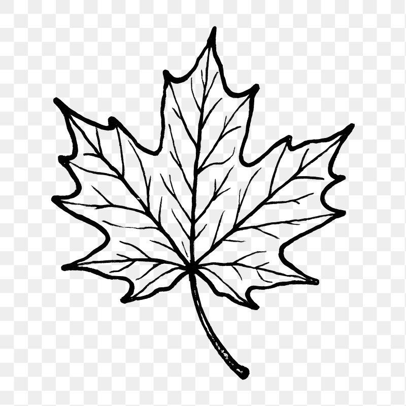 Shade+tree+svg PNG Images | Free Photos, PNG Stickers, Wallpapers ...