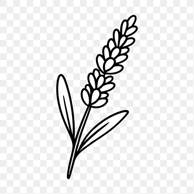Flower Sprigs PNG Images | Free Photos, PNG Stickers, Wallpapers ...